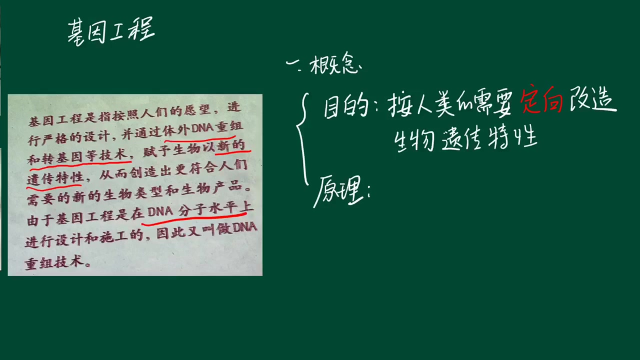视频9 DNA重组技术的基本工具