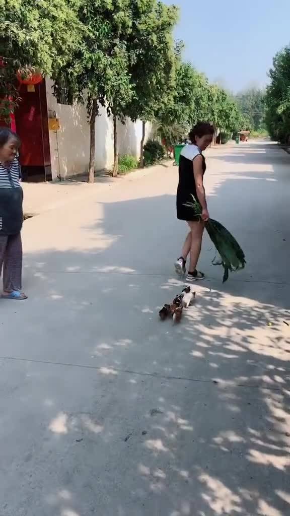 走的惨不忍睹,像极了爱情