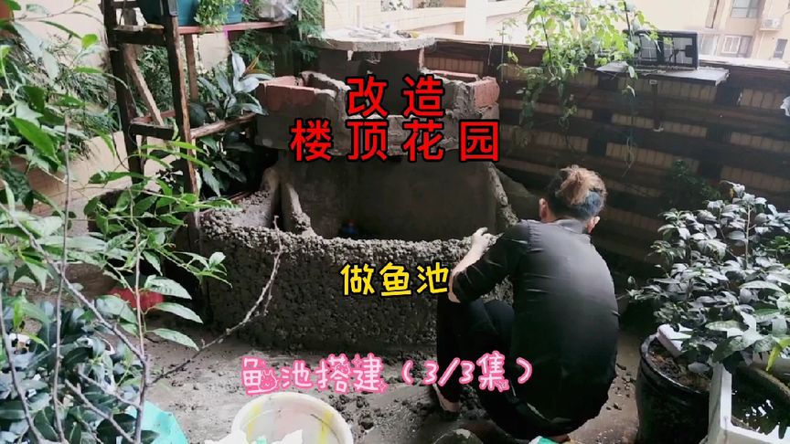 三层高的鱼池 假山 过滤系统 看我怎么打造烟雾缭绕的鱼池