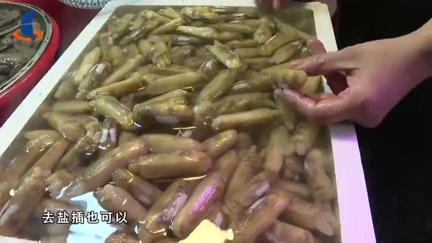 开渔后汕尾海鲜种类多,记者带你一起挑海鲜尝鲜味!