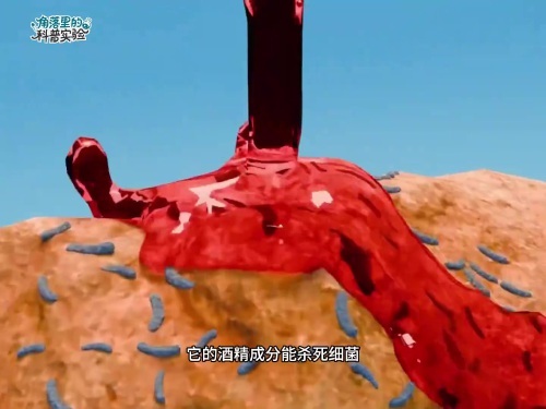 为了勇气作战,酒不仅能消毒伤口,还能让人勇往直前,真是令人惊讶的冷...