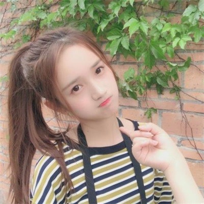 体制写作材料小助手 