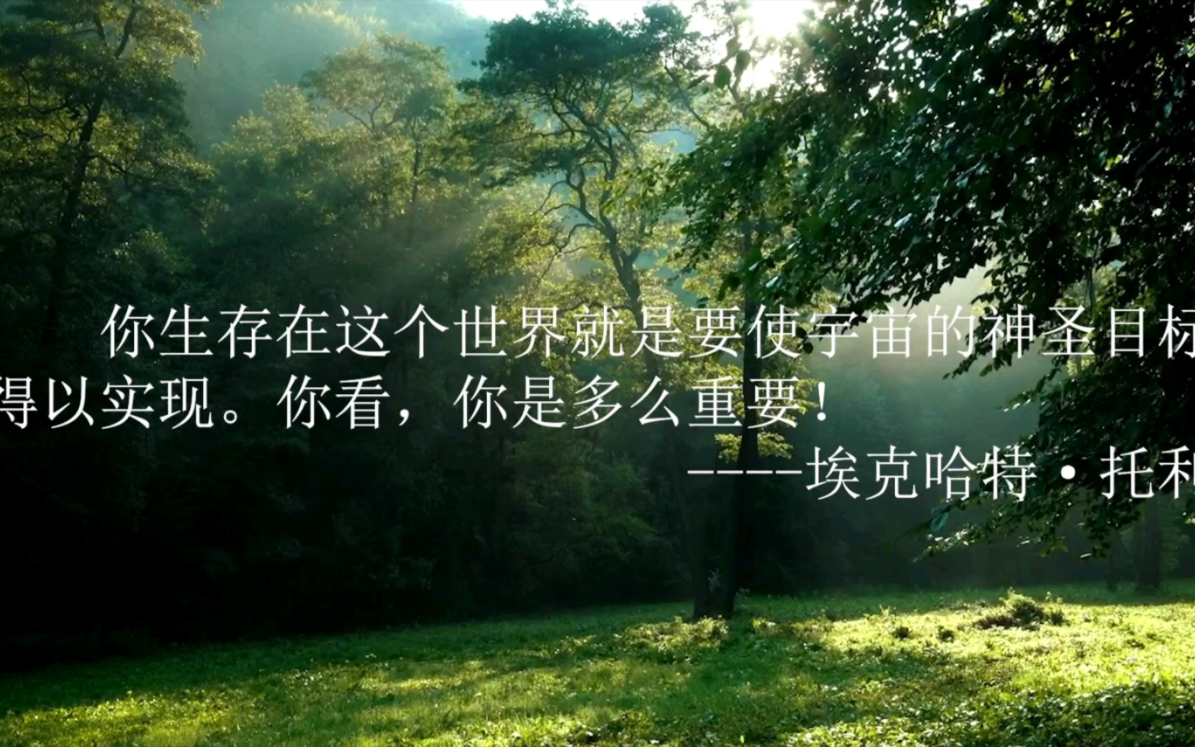 0～【当下的力量】前言