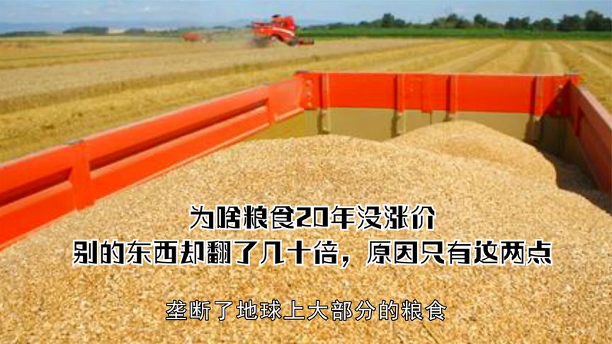 为啥粮食20年没涨价,别的东西却翻了几十倍,原因只有这两点