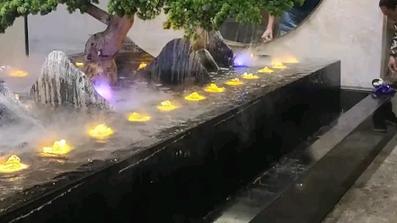 厦门庭院鱼池假山设计,过滤,喷泉,别墅庭院景观设计公司