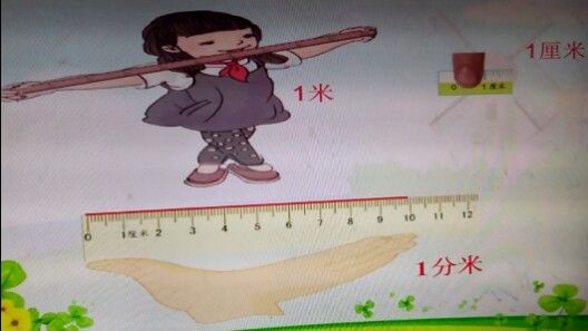 认识长度单位:分米