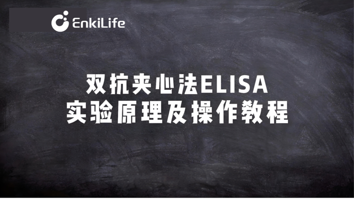 保姆级!双抗夹心法ELISA实验原理及操作教程