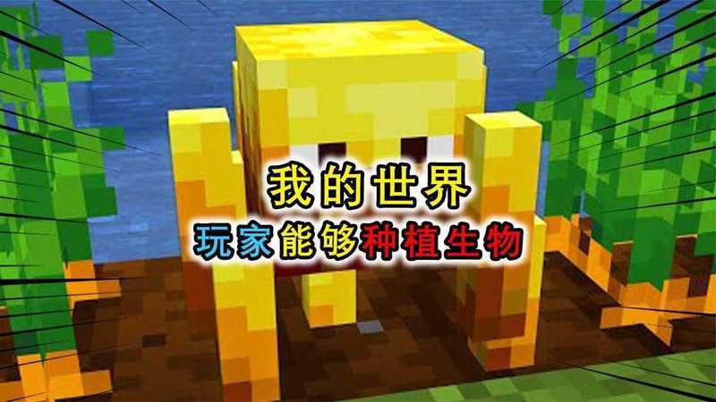 我的世界:玩家能种植生物,你想要什么呢