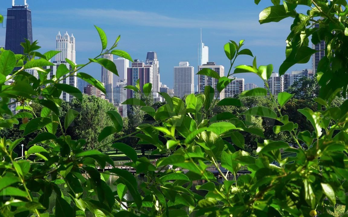 Pr视频素材 13组实拍树叶树枝绿藤落叶秋叶透明通道 Pr遮罩素材