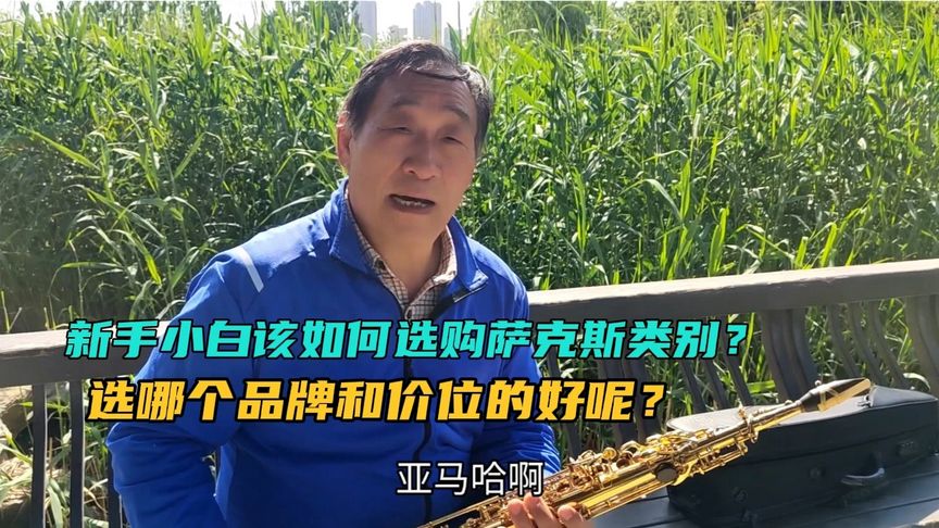 新手如何选萨克斯类别品牌和价位,萨克斯发烧友向您推荐,这样选