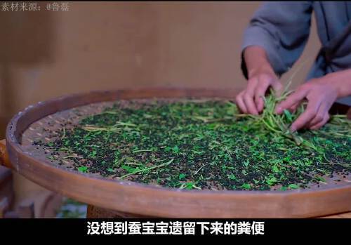 用蚕宝宝的粪便来制作枕头,你见过吗