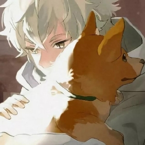 瘦不下来的陈老C 