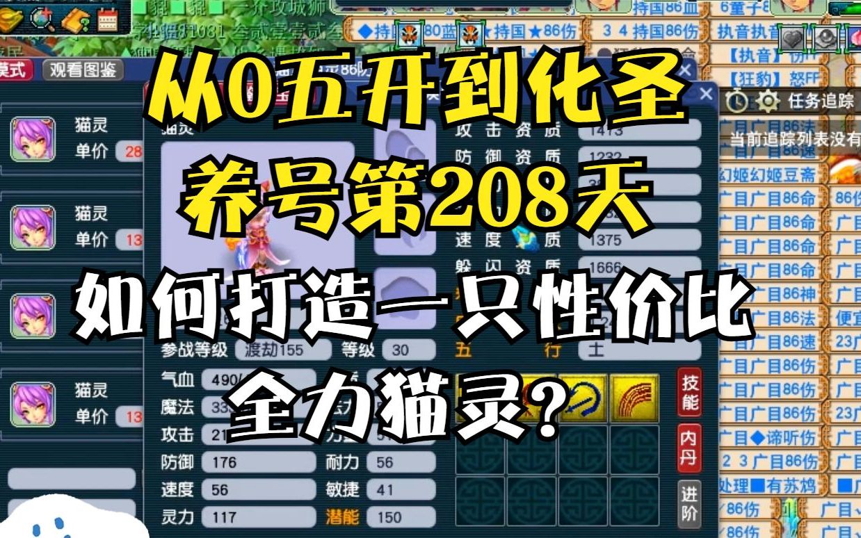 梦幻西游:从0五开到化圣的208天,如何打造一只性价比全力猫灵?