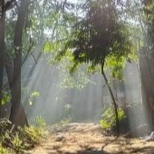 KhinHong 