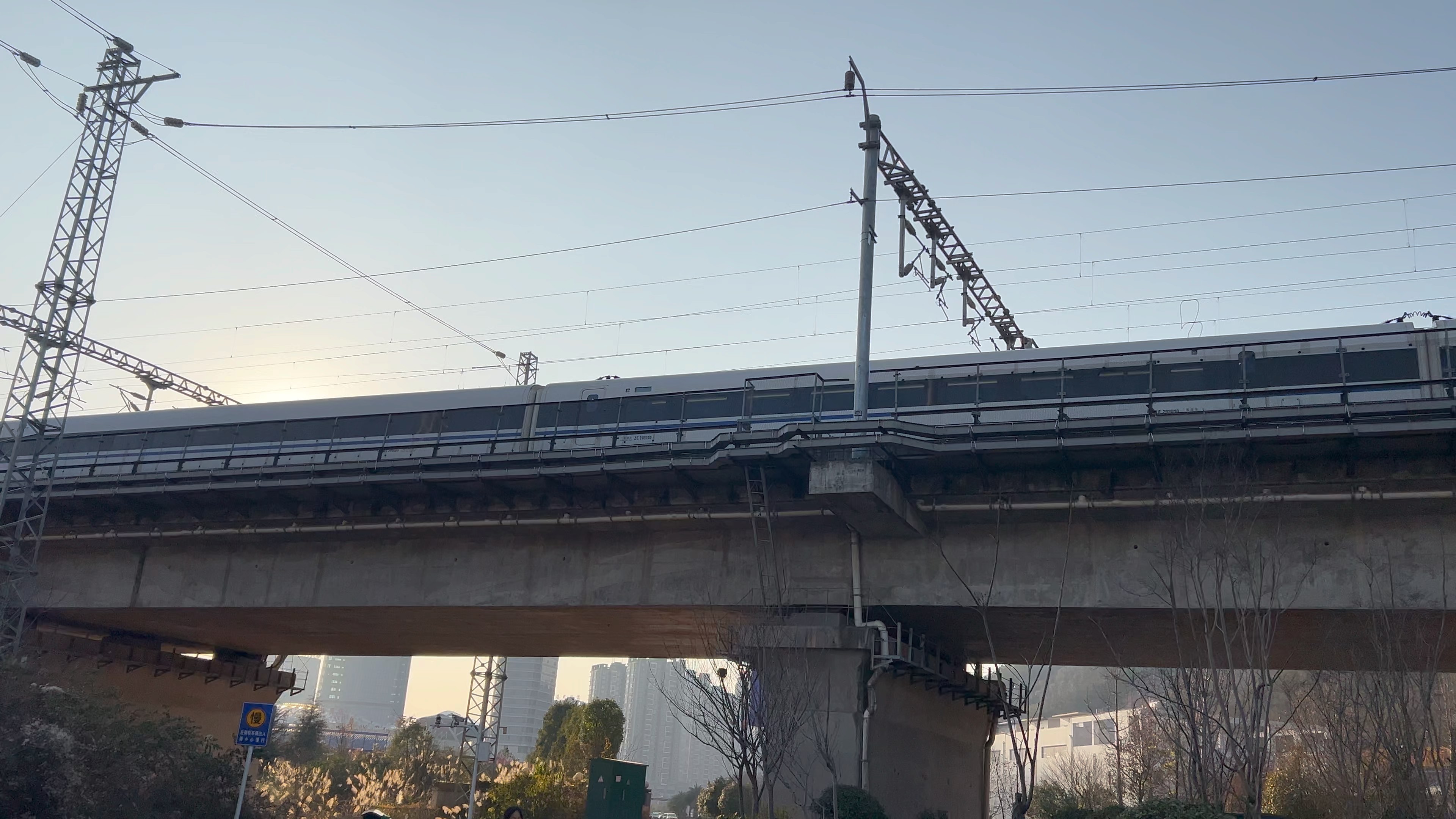 G3729次(重庆西站-广州南站)本务广州动车段CRH380AL2930遵义站...