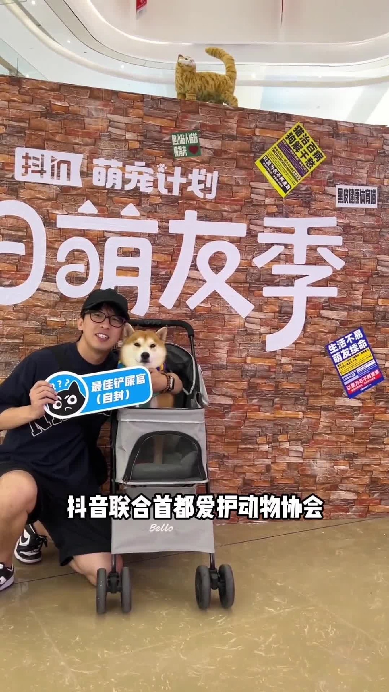 借活动的机会也给大家介绍下我们小区的流浪动物们抖
