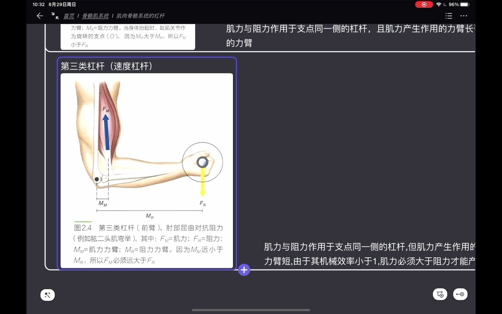NSCA-CSCS 第2章 抗阻训练的生物力学