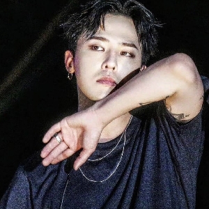 我只吃大米 
