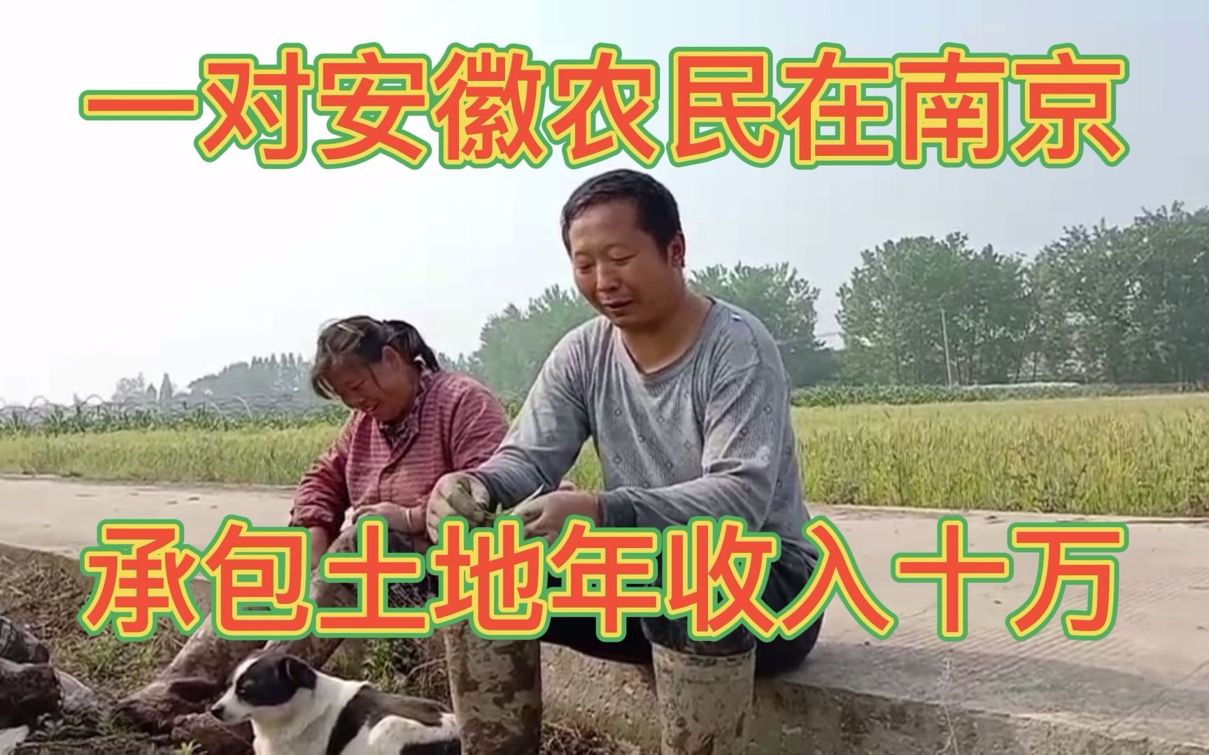 安徽农民在南京承包土地年入十万