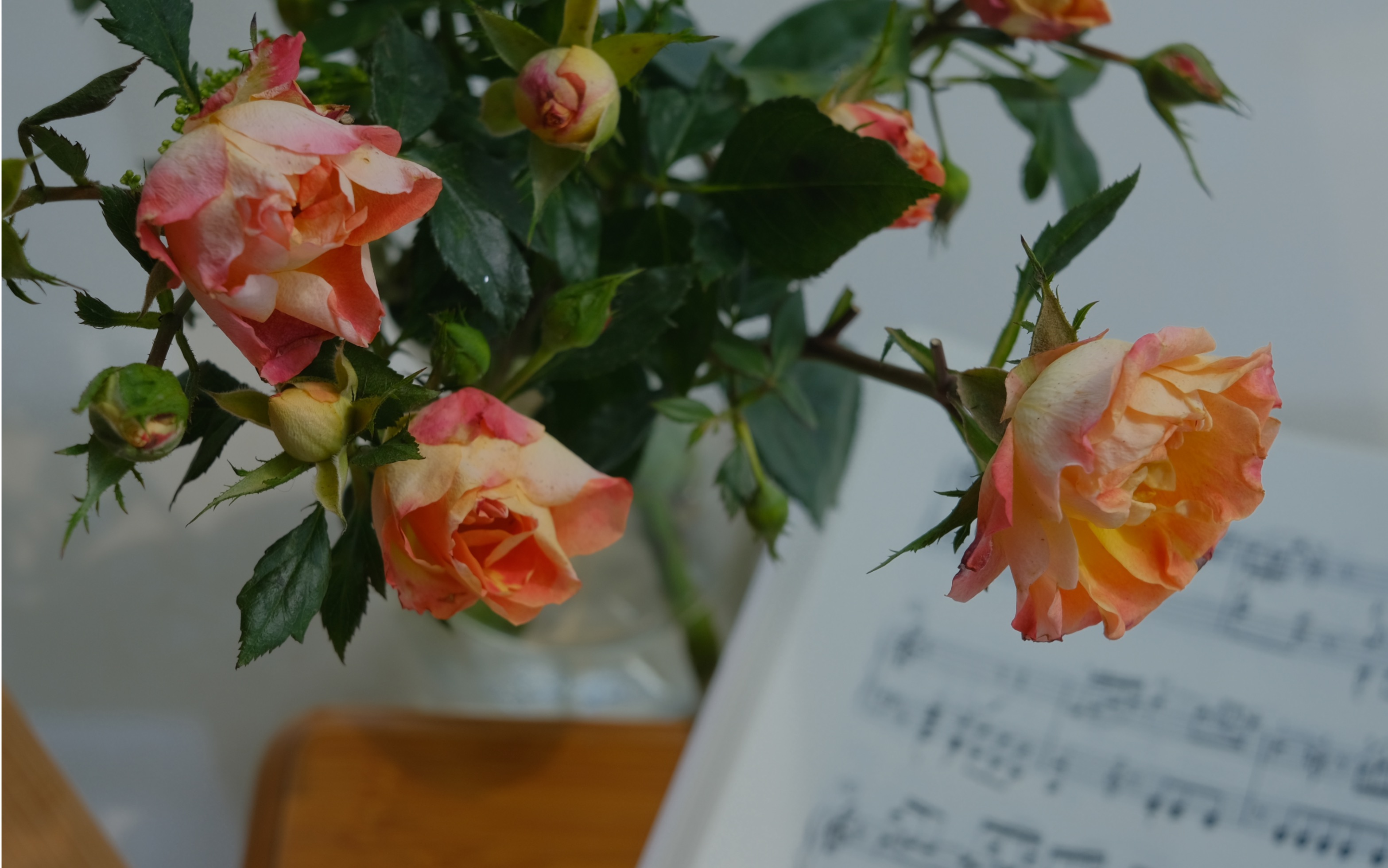 ...’s vlog】疫情后返校记录|中职教师日常|校园值班记录|核酸抗原检测