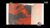 《物产广西》—桂林鸡血玉