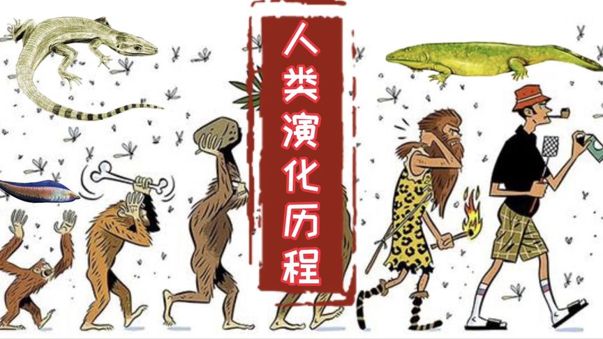 绝对震撼!你知道人类是怎么演变来的吗?一起来看看吧!(上)