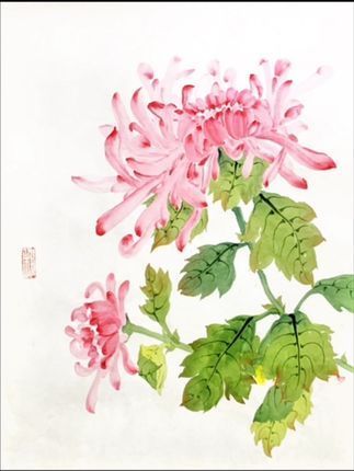 菊花 感受国画的意境之美