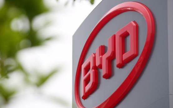 一天分析一家上市公司~比亚迪