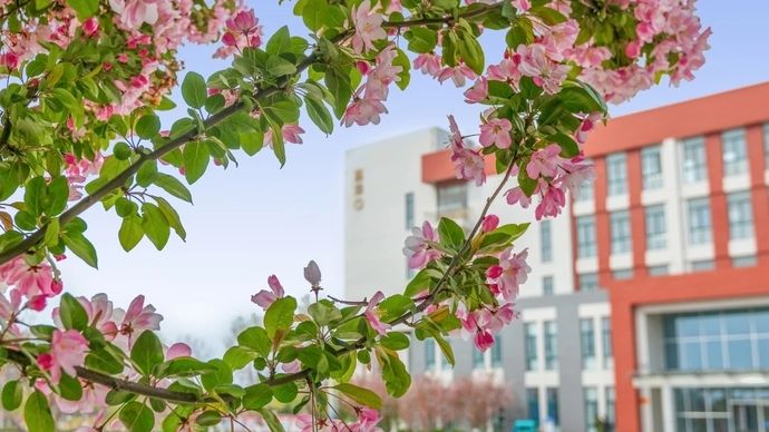 果然视频|大学怎么选,潍坊职业学院原来是所这样的大学