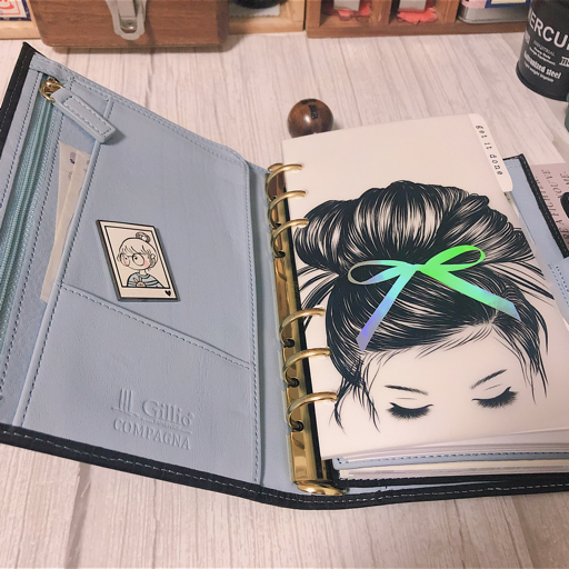 阿拉斯骄IvyLee 