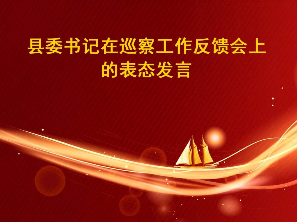 县委书记在巡察工作反馈会上的表态发言