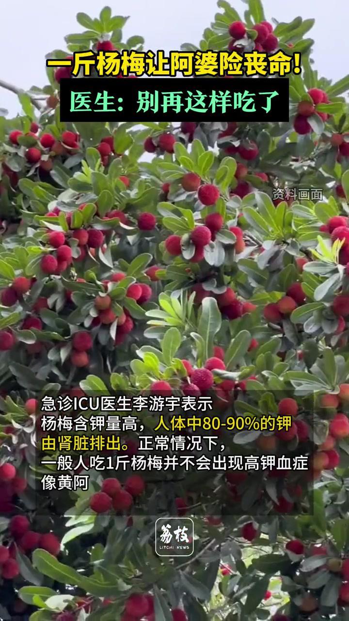 医生表示,杨梅含钾量高,人体中80-90%的钾由肾脏排出,肾功能有损伤的...