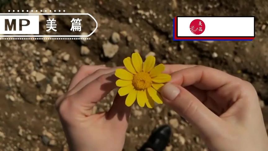 美篇:道不同不相为谋!不要再跟层次不同的人解释自己(上)