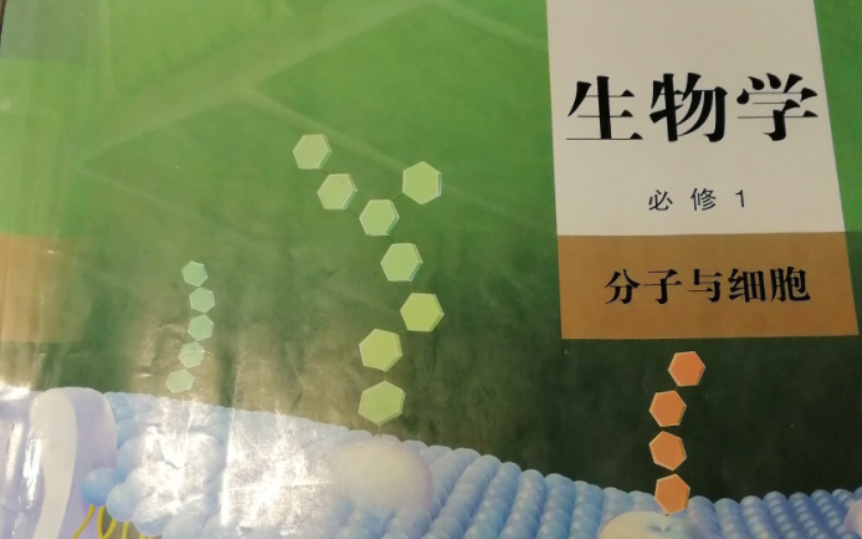 读课本84:生物必修一之细胞膜的结构和功能