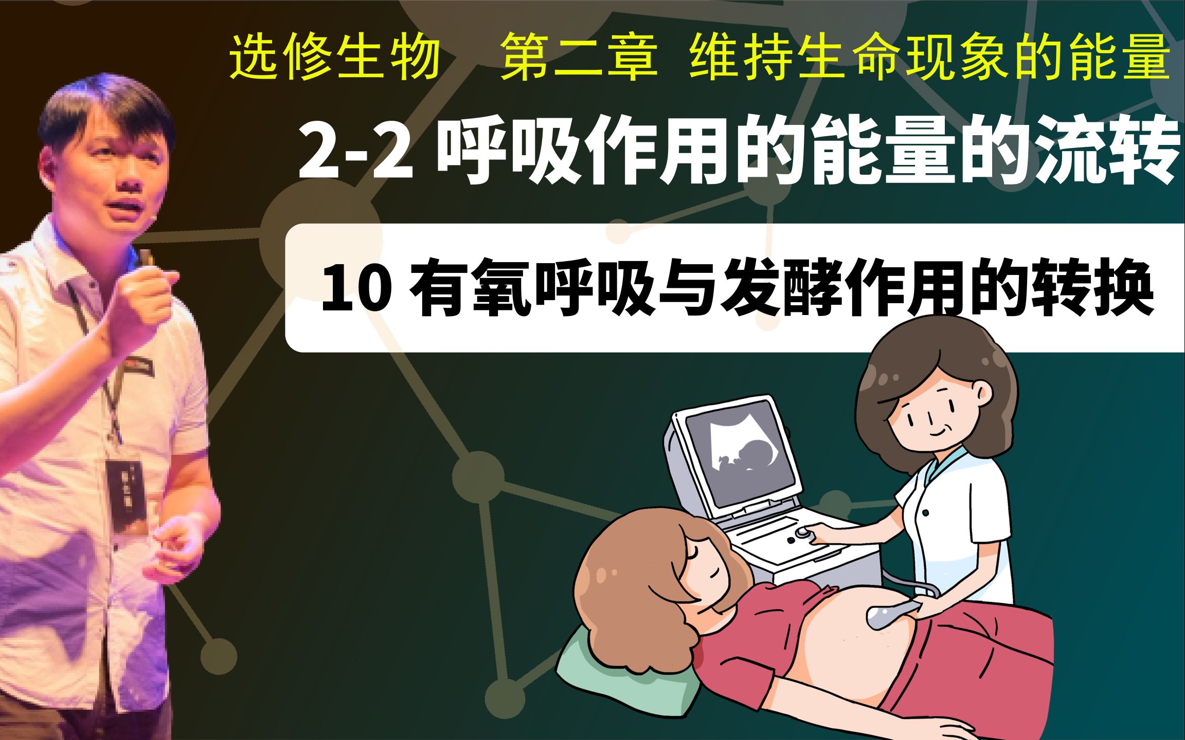 选修生物2-2.10 有氧呼吸与发酵作用的转换