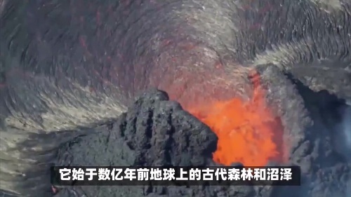 煤炭是如何形成的一个视频告诉你答案