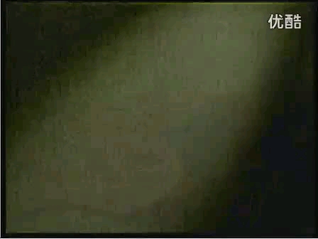 011 足少阳胆经循行图