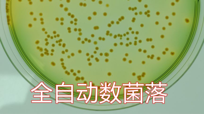 全自动菌落计数仪器使用方法
