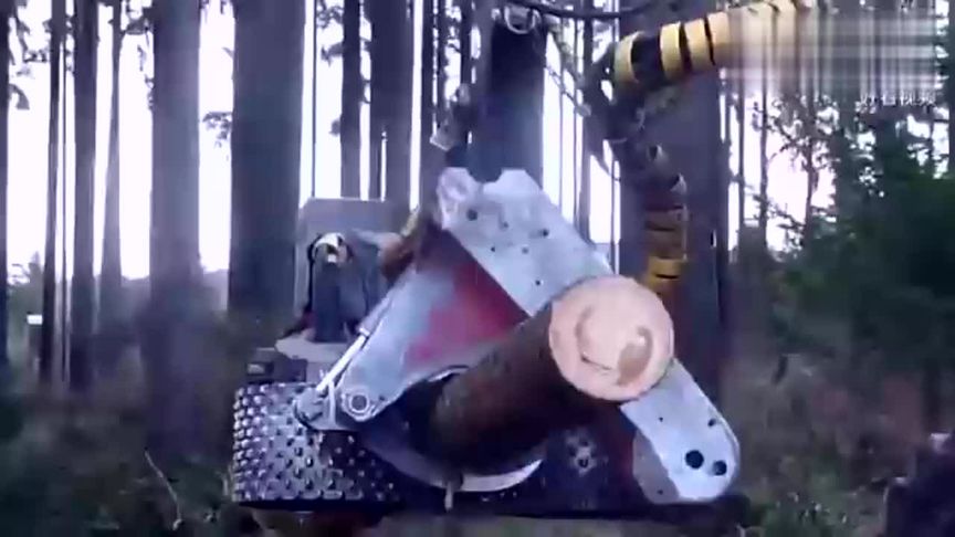 树木被砍伐后,外国人竟用这种方法把它运出去,值得学习