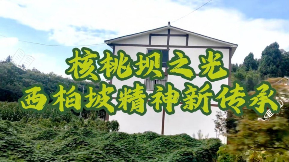 ...精神新传承——西北政法大学“法佑乡心”志愿服务队开展社会实践