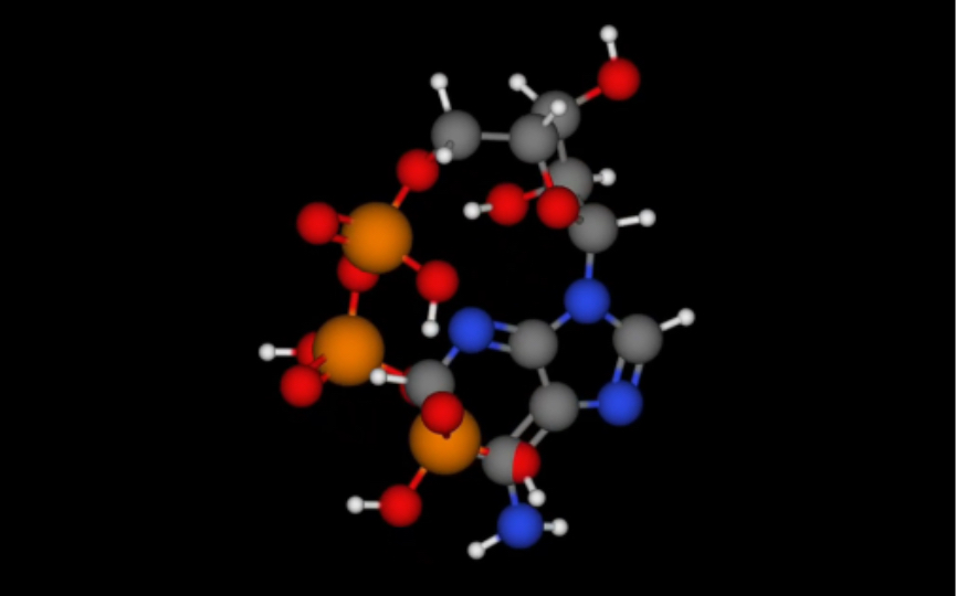 腺苷三磷酸旋转一分钟.avi