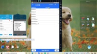【旺店通wms】pda包裹称重