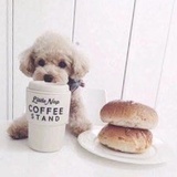 紫易看游戏