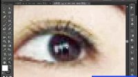 ai教学视频 ai软件教程 adobe illustrator illustrator cs5 01