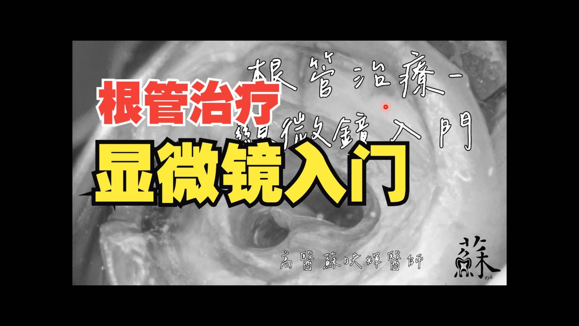 根管治疗显微镜入门
