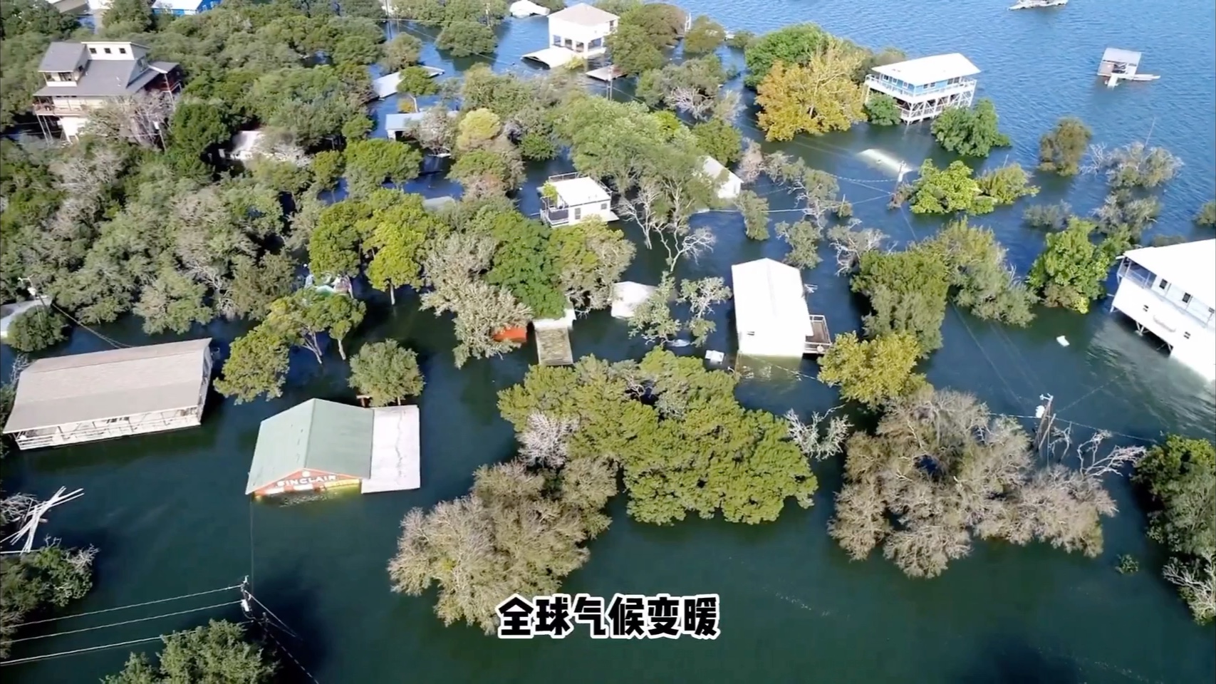 碳汇——森林碳汇、地质碳汇、海洋碳汇、湿地碳汇