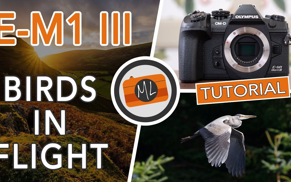 Olympus OM-D E-M1 III - 拍鸟教程 (also for E-M1X, E-M1 II and E-M5 III)