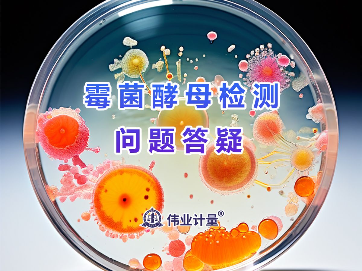 霉菌酵母检测问题答疑