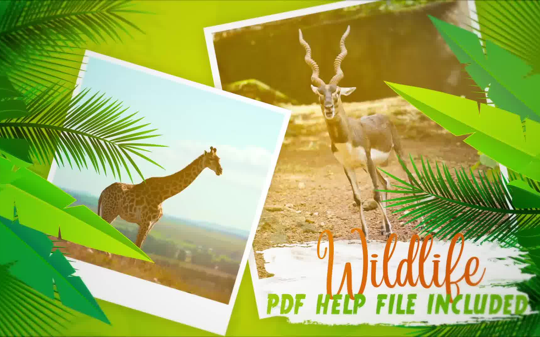 AE模板-国家地理热带雨林植物园绿色植物簇拥效果的动物园介绍视频...