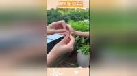 不小心划伤了要及时对伤口进行消毒哦